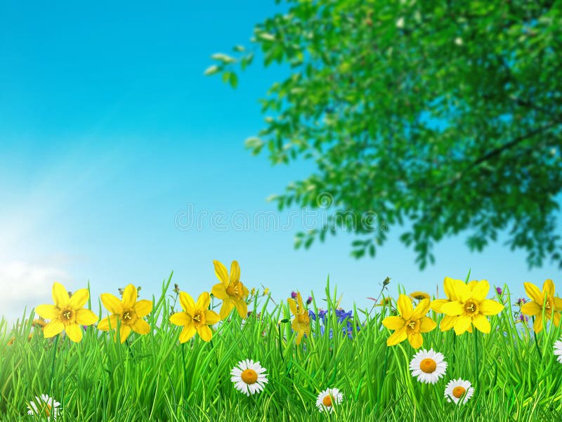A Spring Flowers And Green Grass Background Stock Image - Image of ...