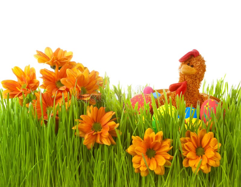 Spring Flowers in Green Grass with Easter Eggs and Chicken Stock Image ...