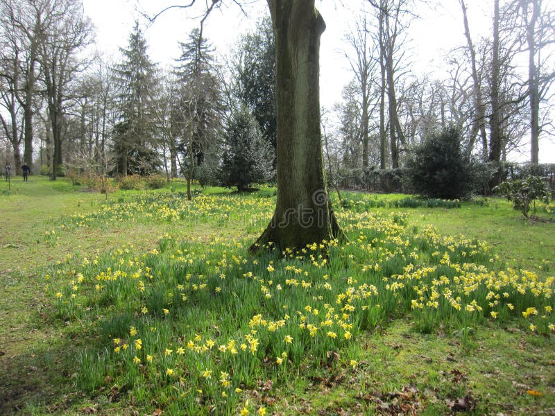 Springtime in England stock image. Image of growing - 113456551