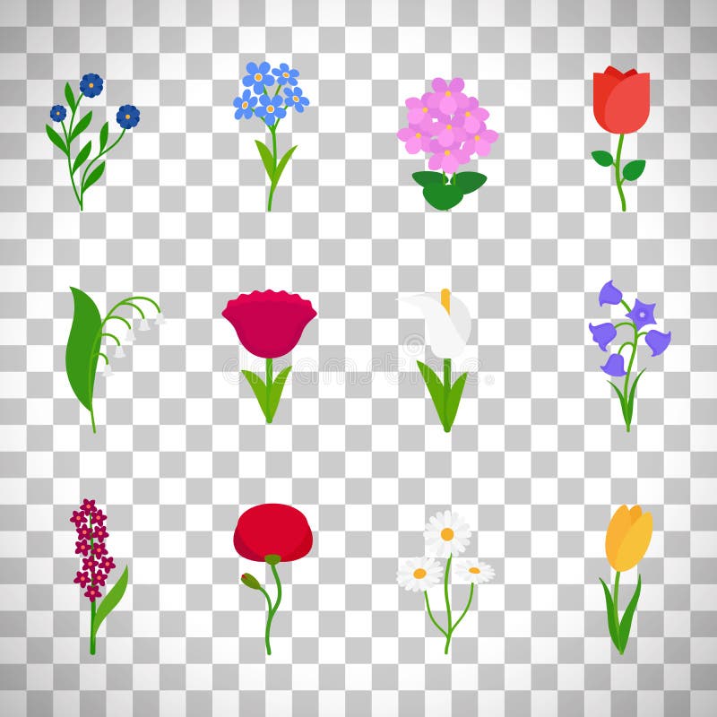 Spring Flowers Transparent Stock Illustrations – 39,823 Spring Flowers ...
