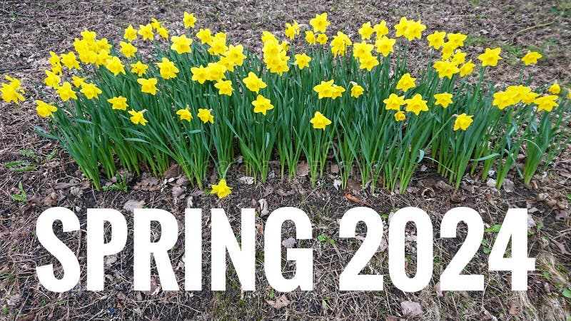 Spring 2024 Flowers Illustration Header Stock Photo - Image of 2024 ...
