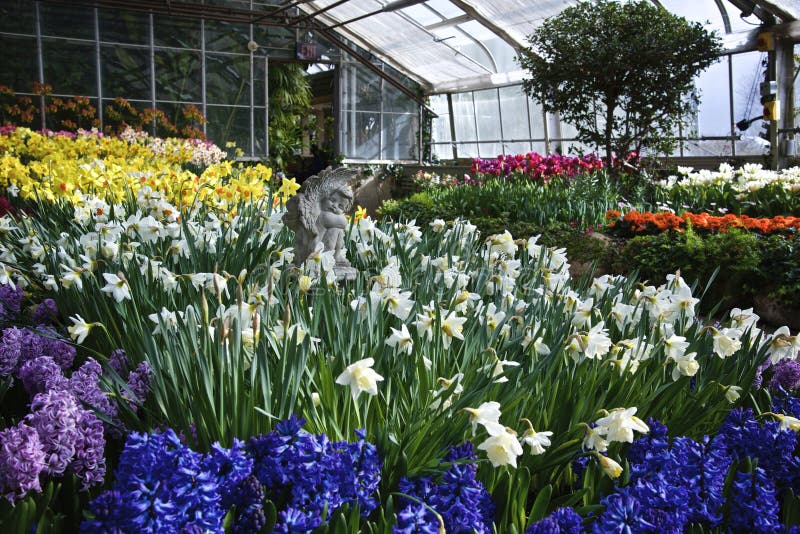 Spring Flowers Inside a Conservatory Stock Photo - Image of freshness ...