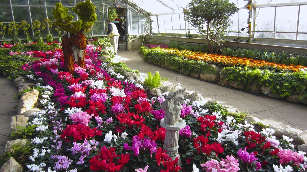 Spring Flowers Inside a Conservatory - Sun Room Stock Image - Image of ...