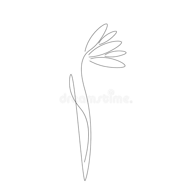 Spring Flowers Isolated on White Background. Continuous Line Draw Stock ...