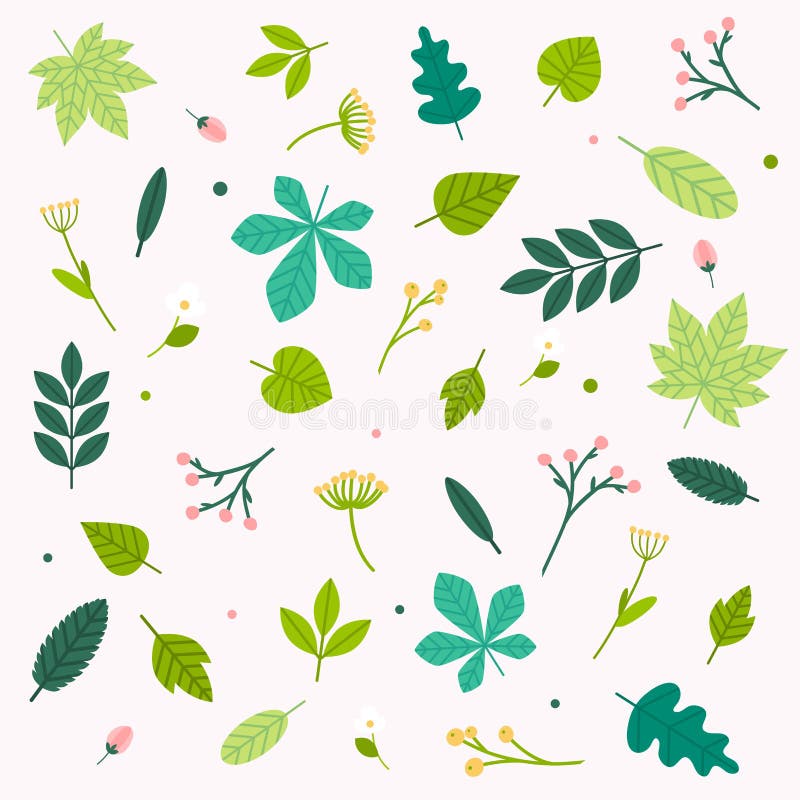 Spring Flowers and Leaves Set. Flat Design Modern Vector Illustration ...