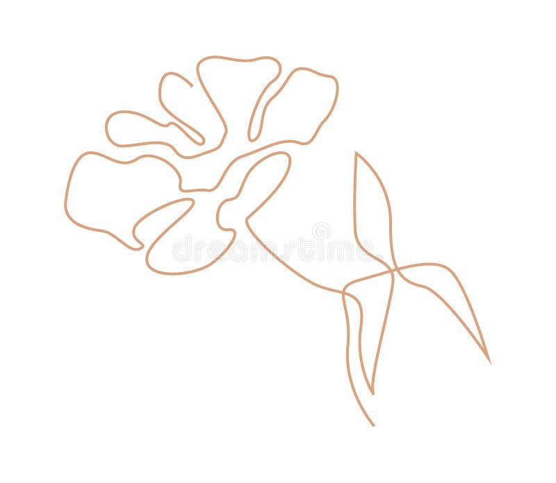 Spring Flowers Line Art Contemporary Floral Design Stock Vector ...