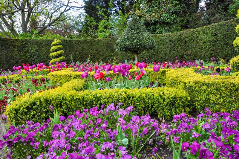 Spring Flowers in London, United Kingdom Stock Image - Image of field ...