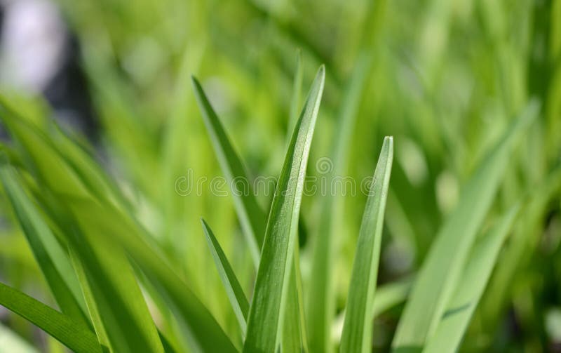 644 Park Marc Stock Photos - Free & Royalty-Free Stock Photos from ...