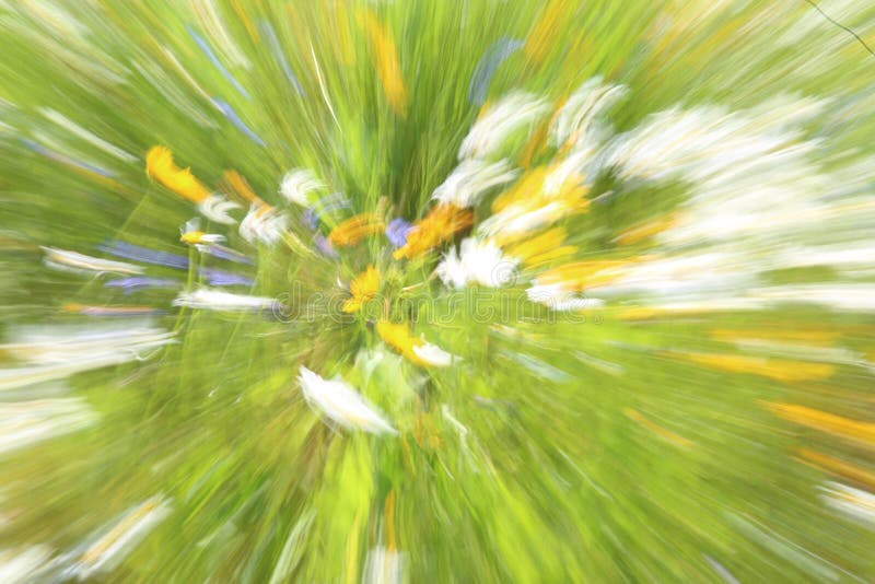 Cjh Photography Llc (Chanevy) - Photographer profile