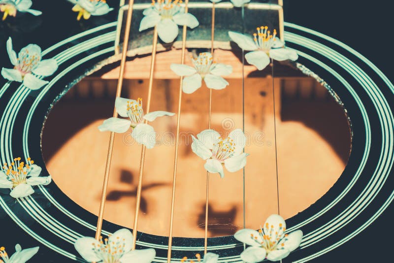 Spring Flowers on a Musical Instrument. Musical String Instrumen Stock ...