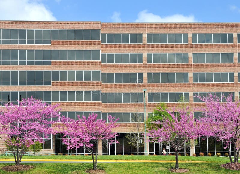44+ Office building flowers Free Stock Photos - StockFreeImages
