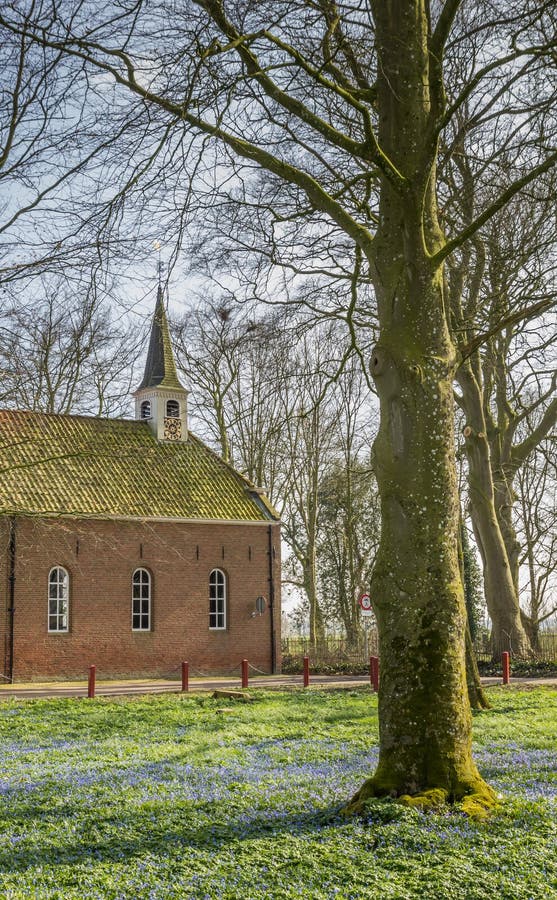 Spring Flowers and Old Church in Oudeschans Stock Photo - Image of ...