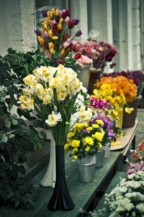 Spring flowers stock image. Image of present, outdoor - 42716993