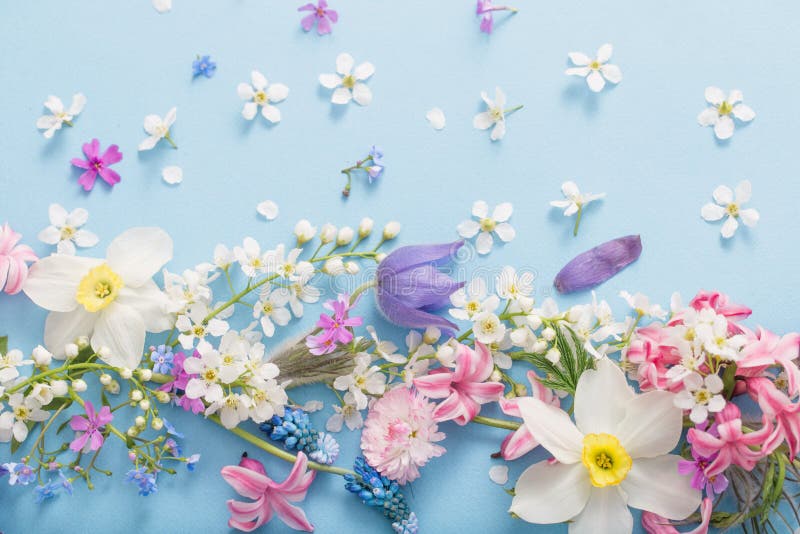 Spring Flowers on Paper Background Stock Photo - Image of frame ...
