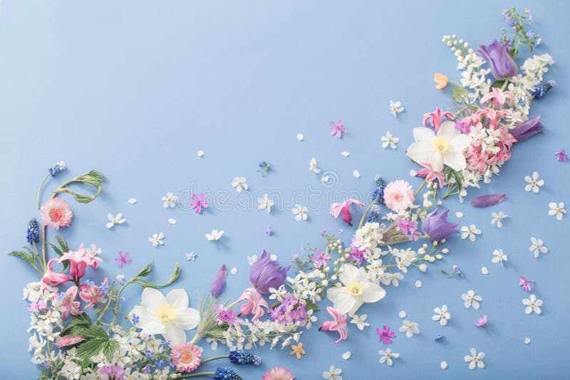 Spring Flowers on Paper Background Stock Image - Image of hyacinth ...