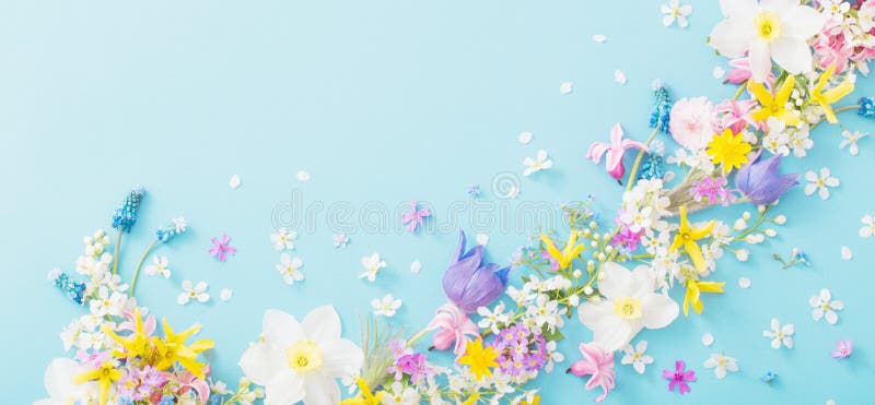 Spring Flowers on Paper Background Stock Image - Image of background ...