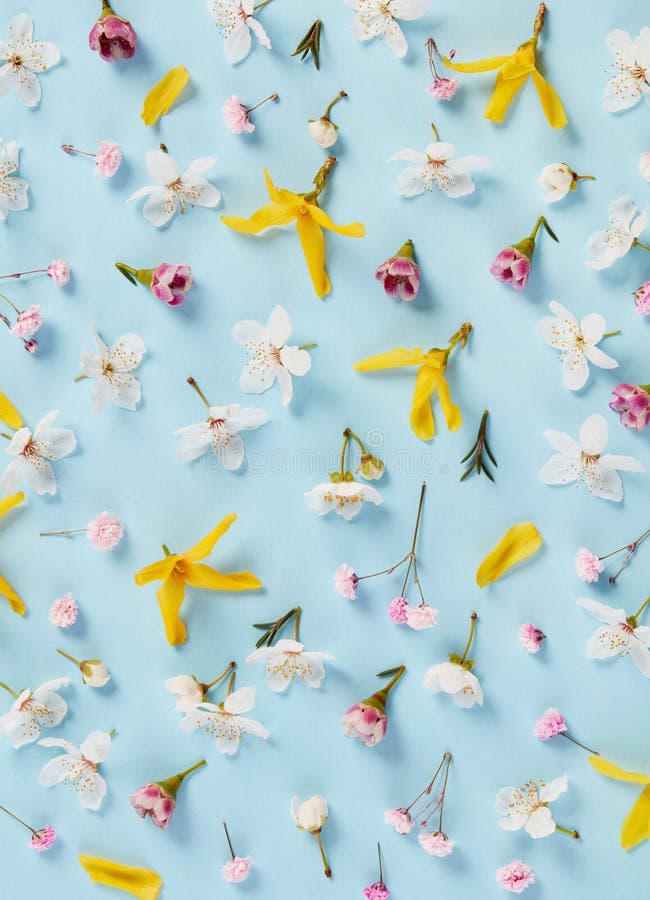 Spring flowers pattern stock photo. Image of flower - 214823092