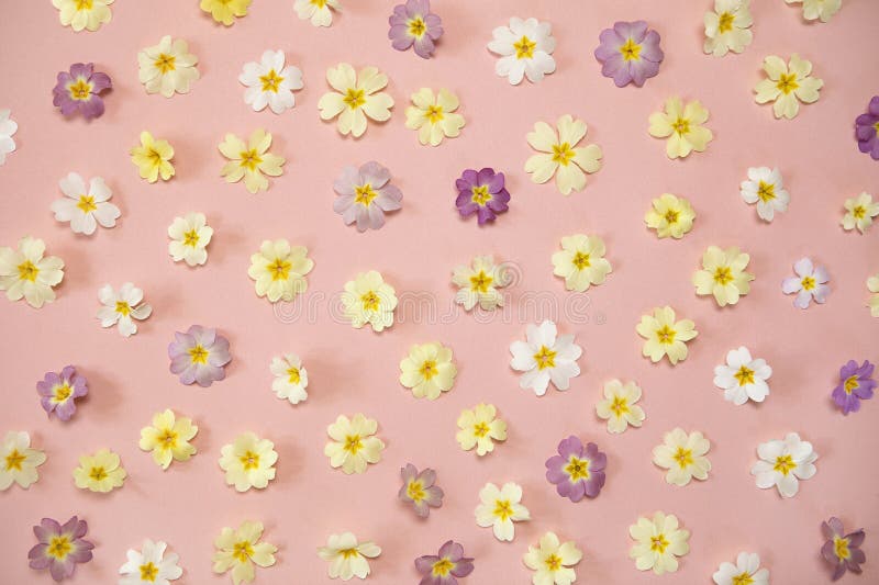 Spring Flowers Pattern on Pink Background. Pastel Coloured Flowers Flat ...