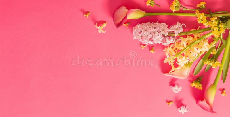 Flowers on Pink Paper Background Stock Photo - Image of mockup, march ...
