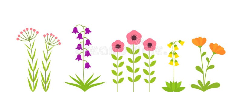Flowers in pot stock vector. Illustration of plant, pink - 14094833