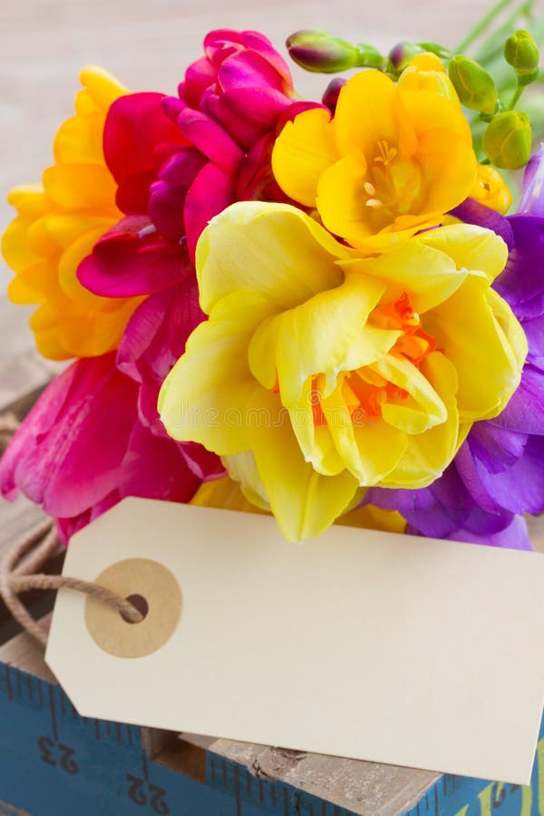 Spring Flowers Posy with Blank Tag Stock Photo - Image of daffodils ...