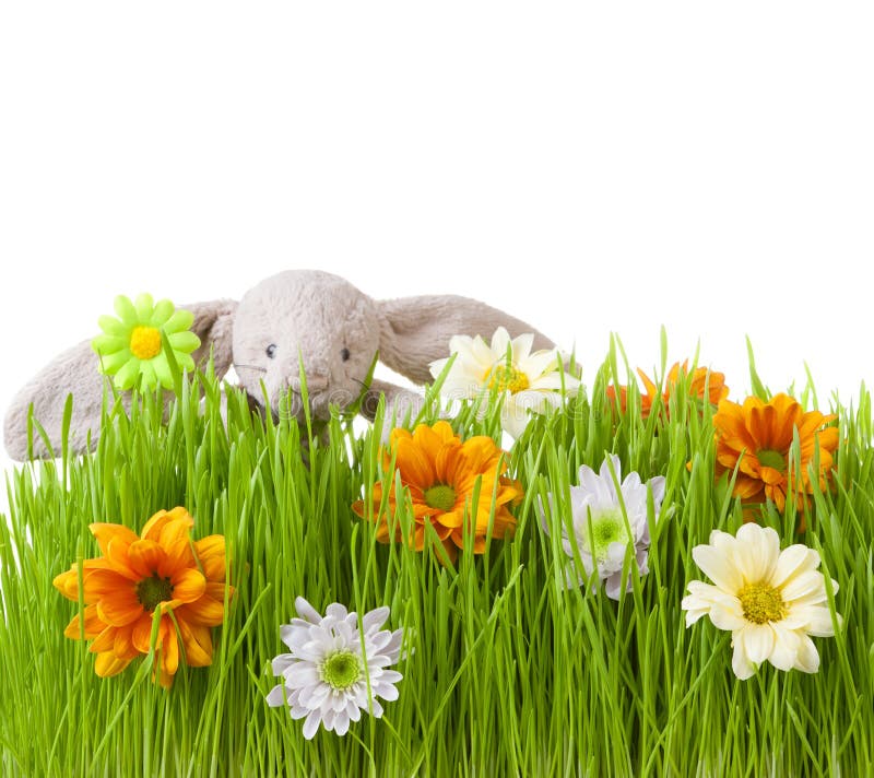 Spring Flowers and Rabbit on Green Grass Stock Image - Image of meadow ...