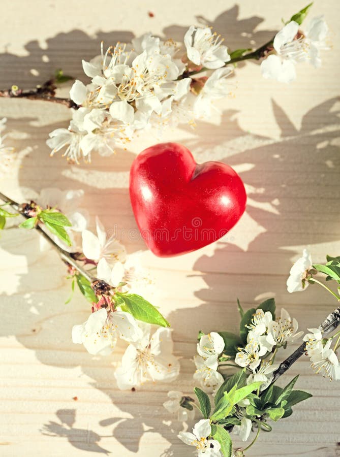 Spring Background with Pink Flowers, Heart and Petals. Greeting Card ...