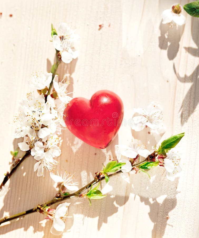 Spring Flowers and Red Heart Candle Stock Photo - Image of holiday ...