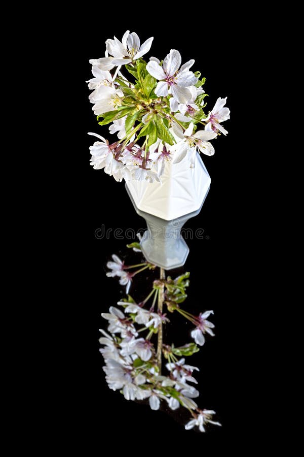 Spring Flowers Reflection on a Black Background Stock Photo - Image of ...