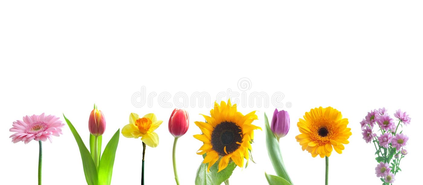 355 Row Assorted Flowers Stock Photos - Free & Royalty-Free Stock ...