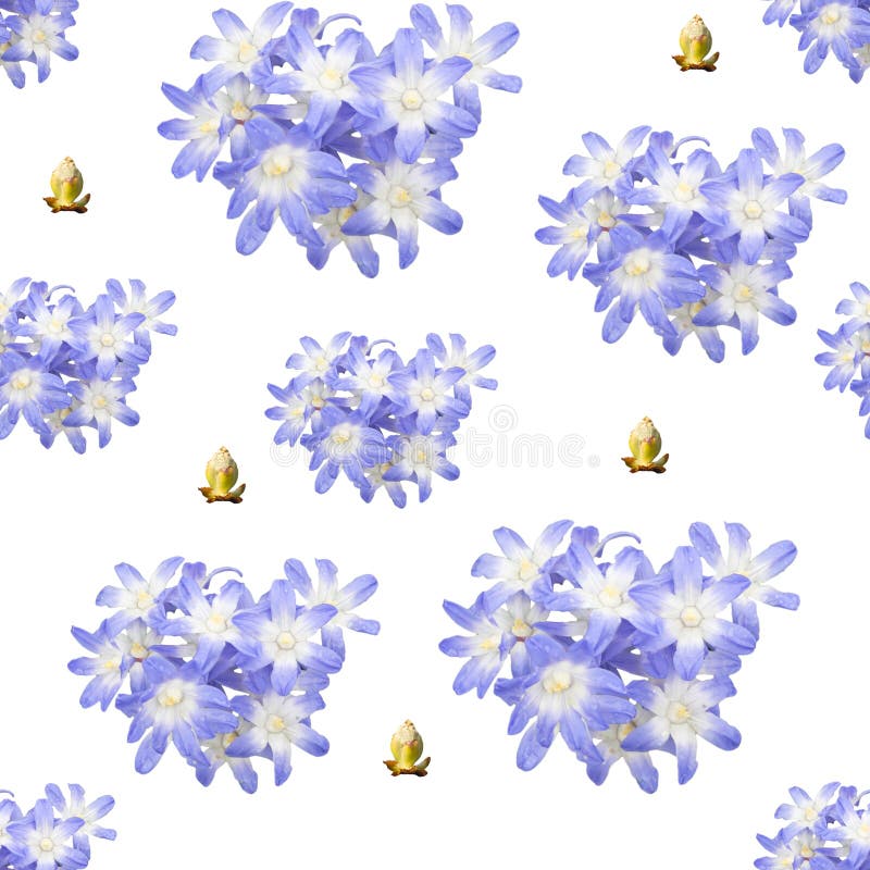 Spring Flowers Seamless Background Pattern Stock Photo - Image of ...
