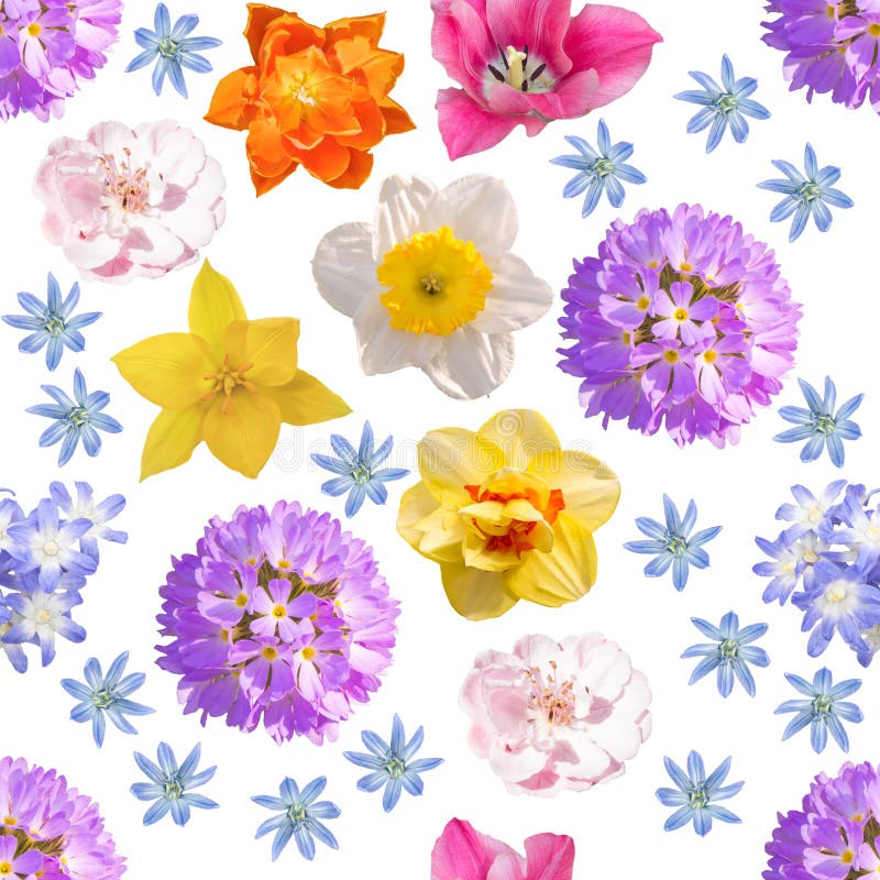 Spring Flowers Seamless Pattern Stock Photo - Image of vibrant, plant ...