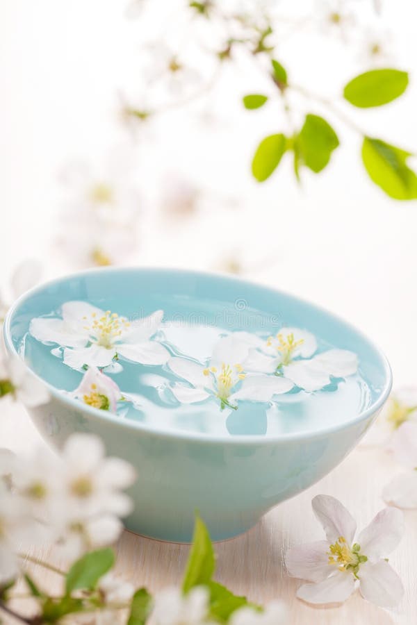 Spring Flowers for Spa and Aromatherapy Stock Image - Image of ...