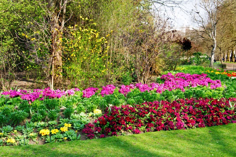 UK - London - St James Park in Spring Stock Image - Image of plants ...