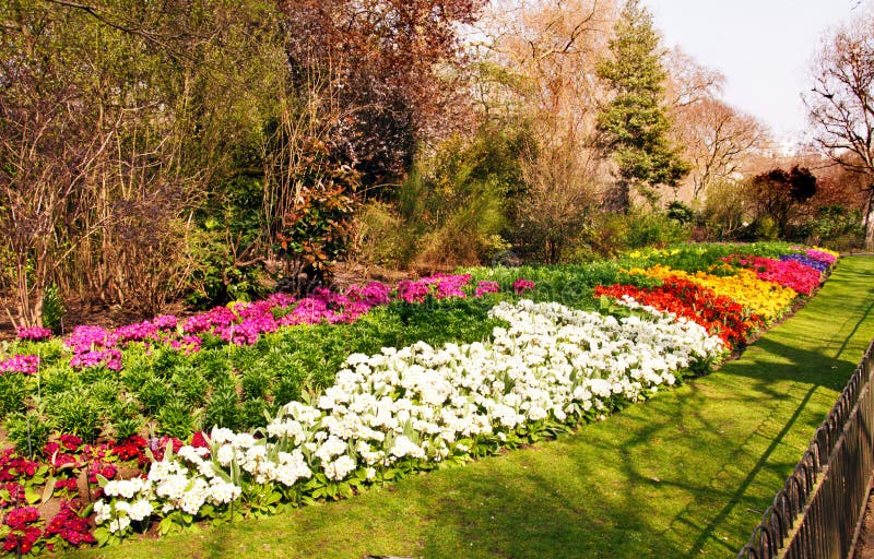 UK - London - St James Park in Spring Stock Photo - Image of britain ...