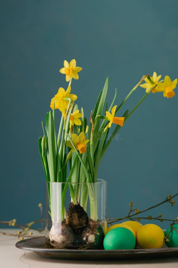 Spring Flowers Still Life Blooming Daffodils and Easter Eggs Stock ...