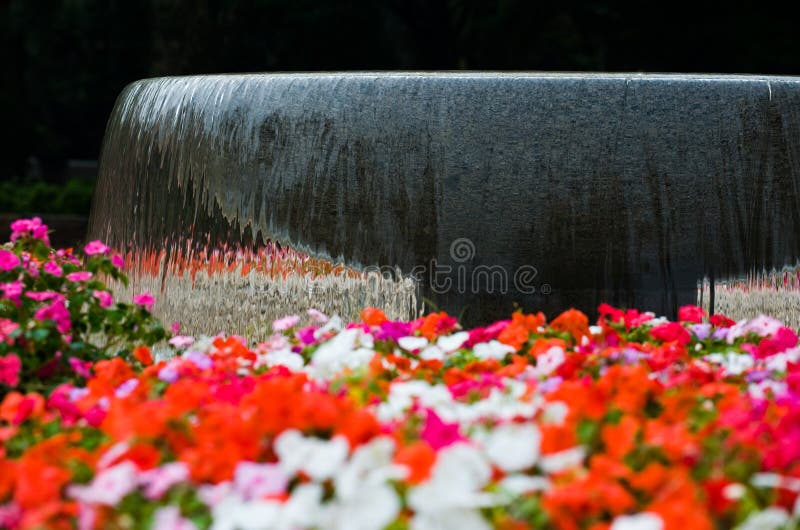 Spring flowers and stream stock image. Image of bloom - 13747991