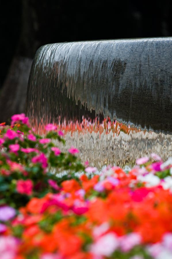 Spring flowers and stream stock image. Image of natural - 13748087