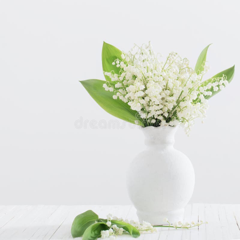 Spring Flowers in Vase on White Background Stock Image - Image of ...