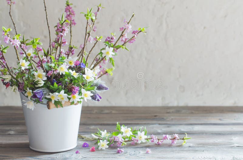 The Spring Flowers in White Bucket on Background Old White Wall Stock ...