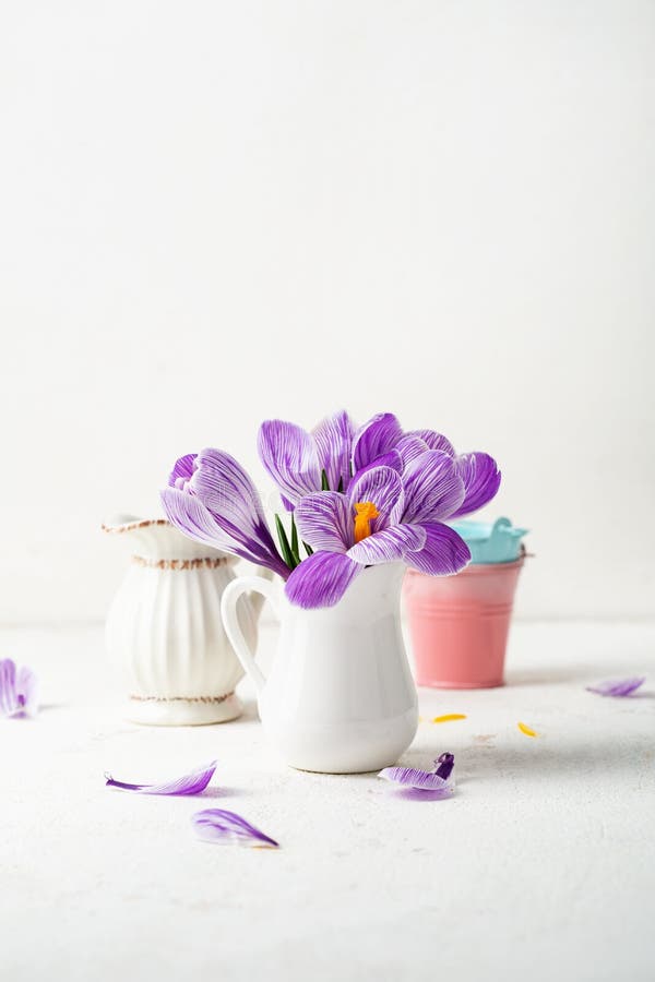 Spring Flowers in White Jug, Crocus Flowers Stock Photo - Image of ...