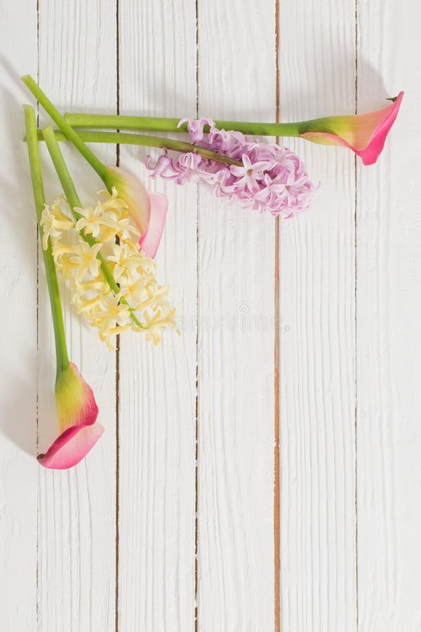Spring Flowers on White Wooden Background Stock Image - Image of ...