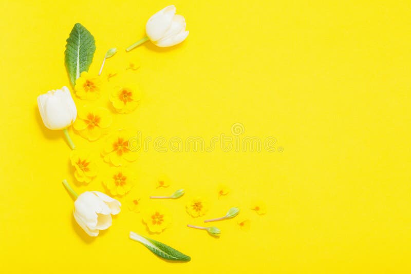 Spring Flowers on Yellow Background Stock Image - Image of background ...