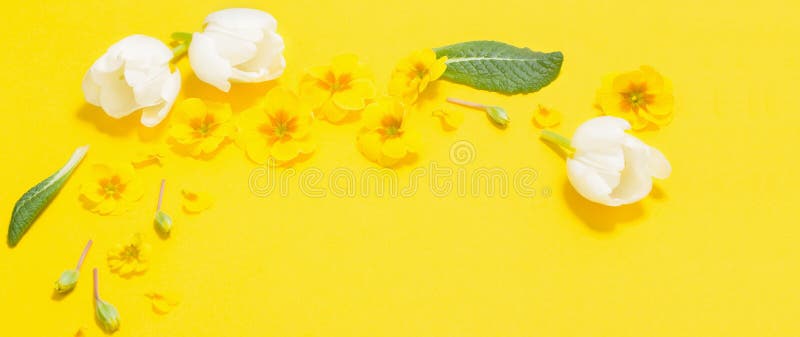 Spring Flowers on Yellow Background Stock Photo - Image of floral ...