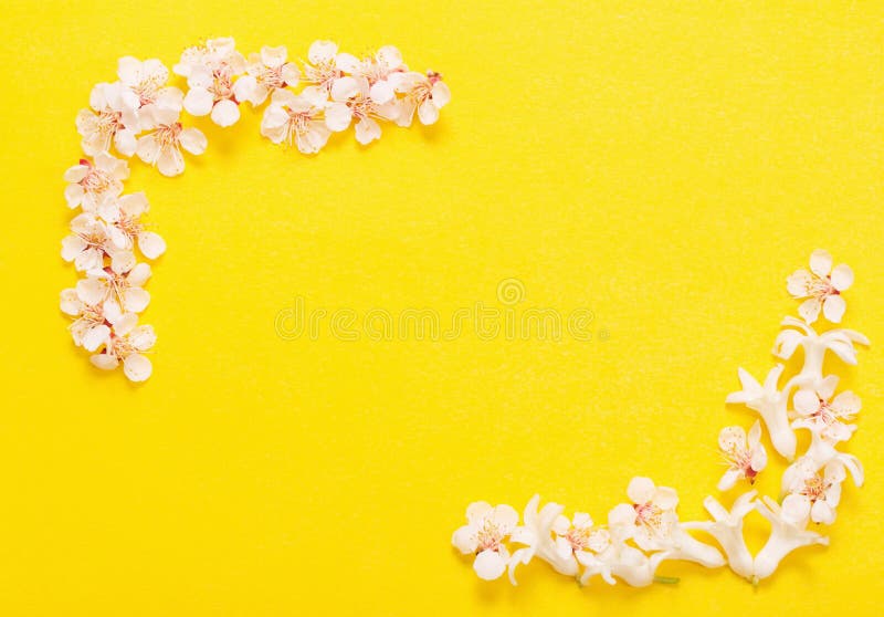 The Spring Flowers on Yellow Paper Background Stock Image - Image of ...