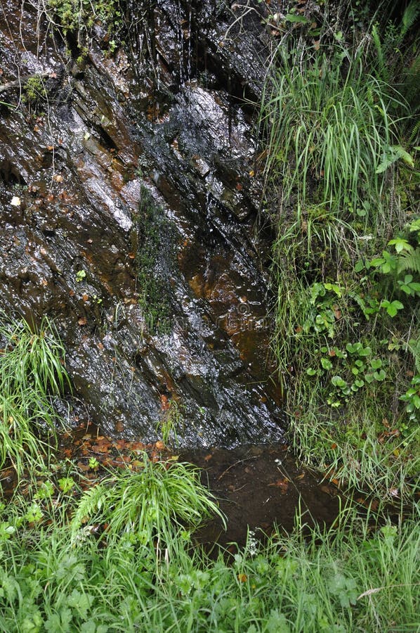 Spring Flowing Along a Rock Stock Photo - Image of rock, outdoor: 230250020