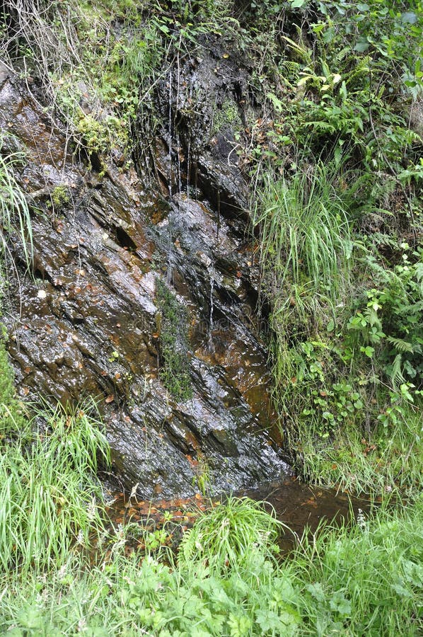 Spring Flowing Along a Rock Stock Image - Image of outdoor, ecosystem ...