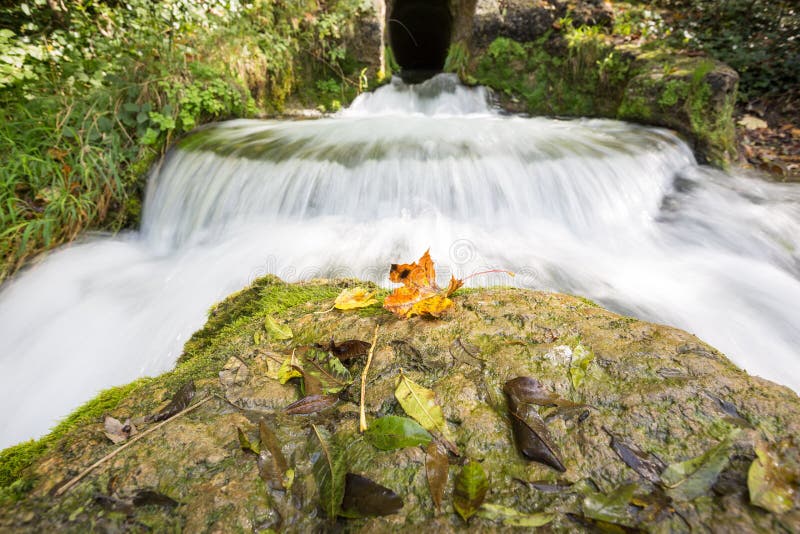 Spring Flowing into River Isar in Munich Stock Image - Image of autumn ...
