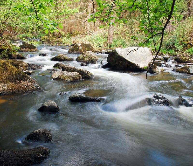 Spring flowing stream stock photo. Image of moss, scenery - 29029328