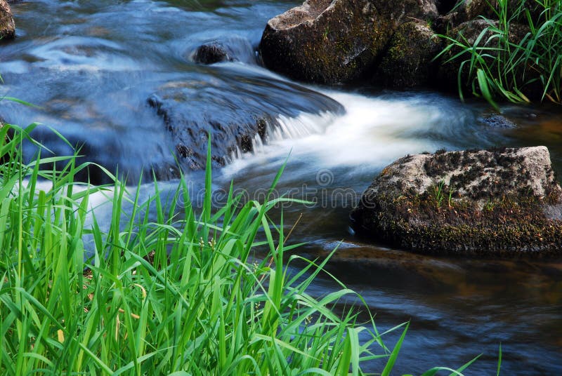 Spring flowing stream stock photo. Image of moss, scenery - 29029328